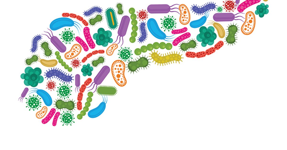 Breaking Down Barriers: Conquering Bacterial-Induced Chemoresistance in ...