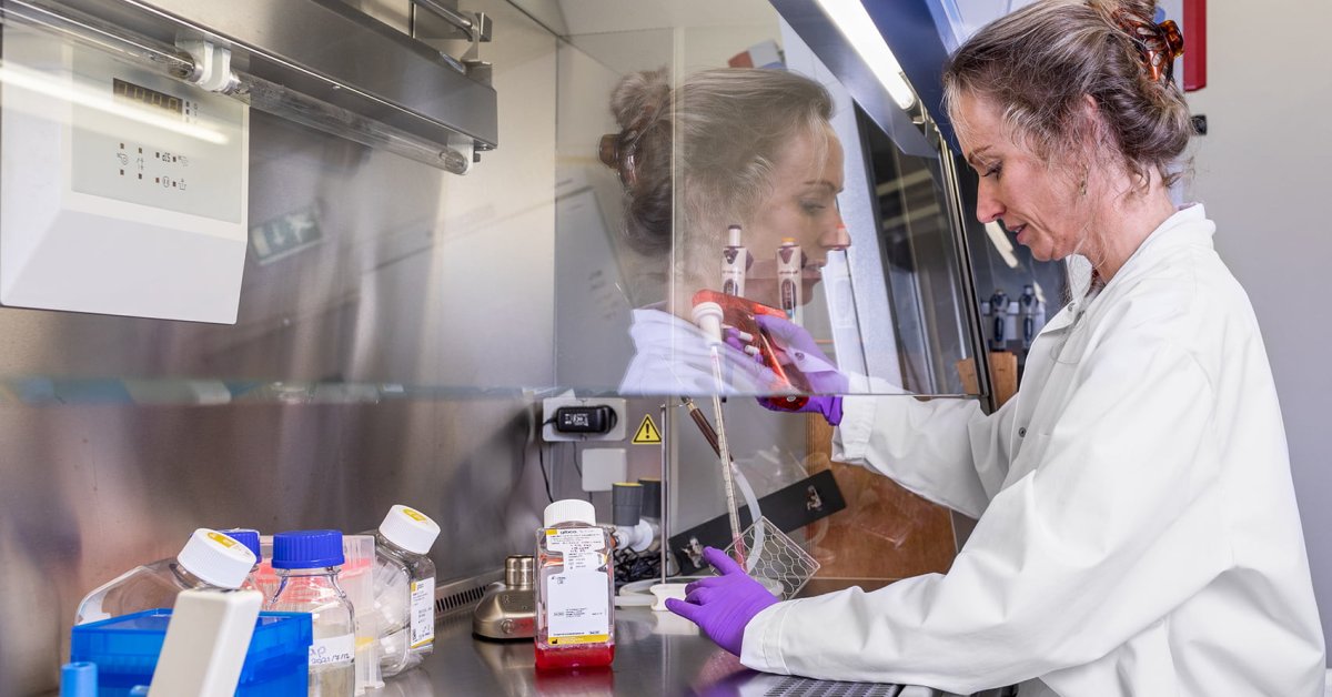 Vivi Heine on the potential of stem cell research | Amsterdam UMC